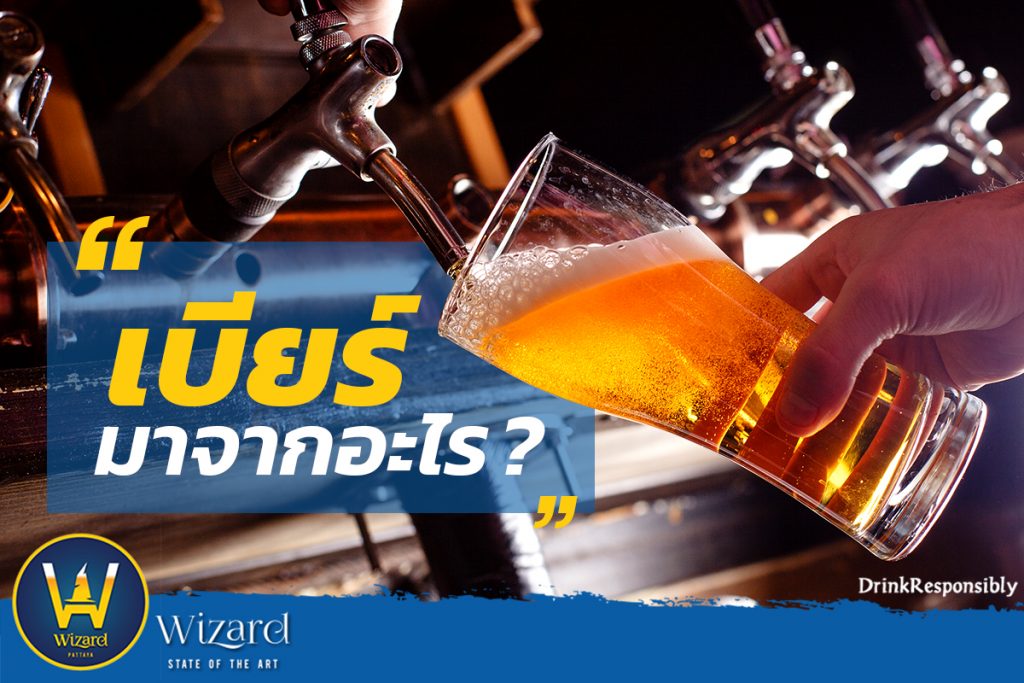 “เบียร์มาจากอะไร?” – Wizard Beer | Pattaya